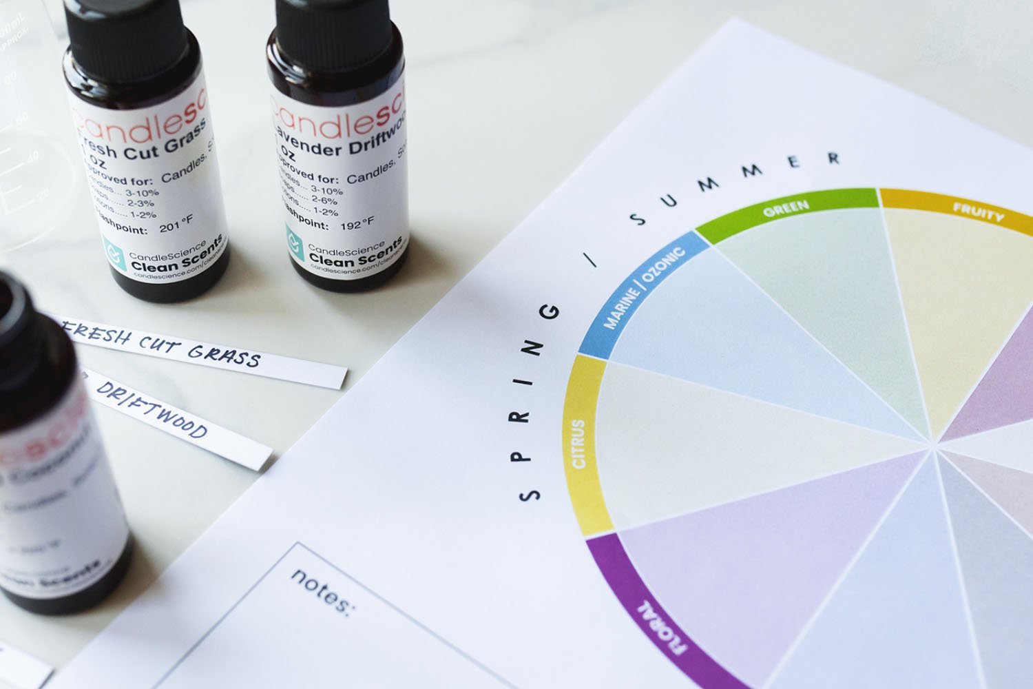 Beginner's Guide to Perfume Fragrance Families & Terminology – Fragrance5ml