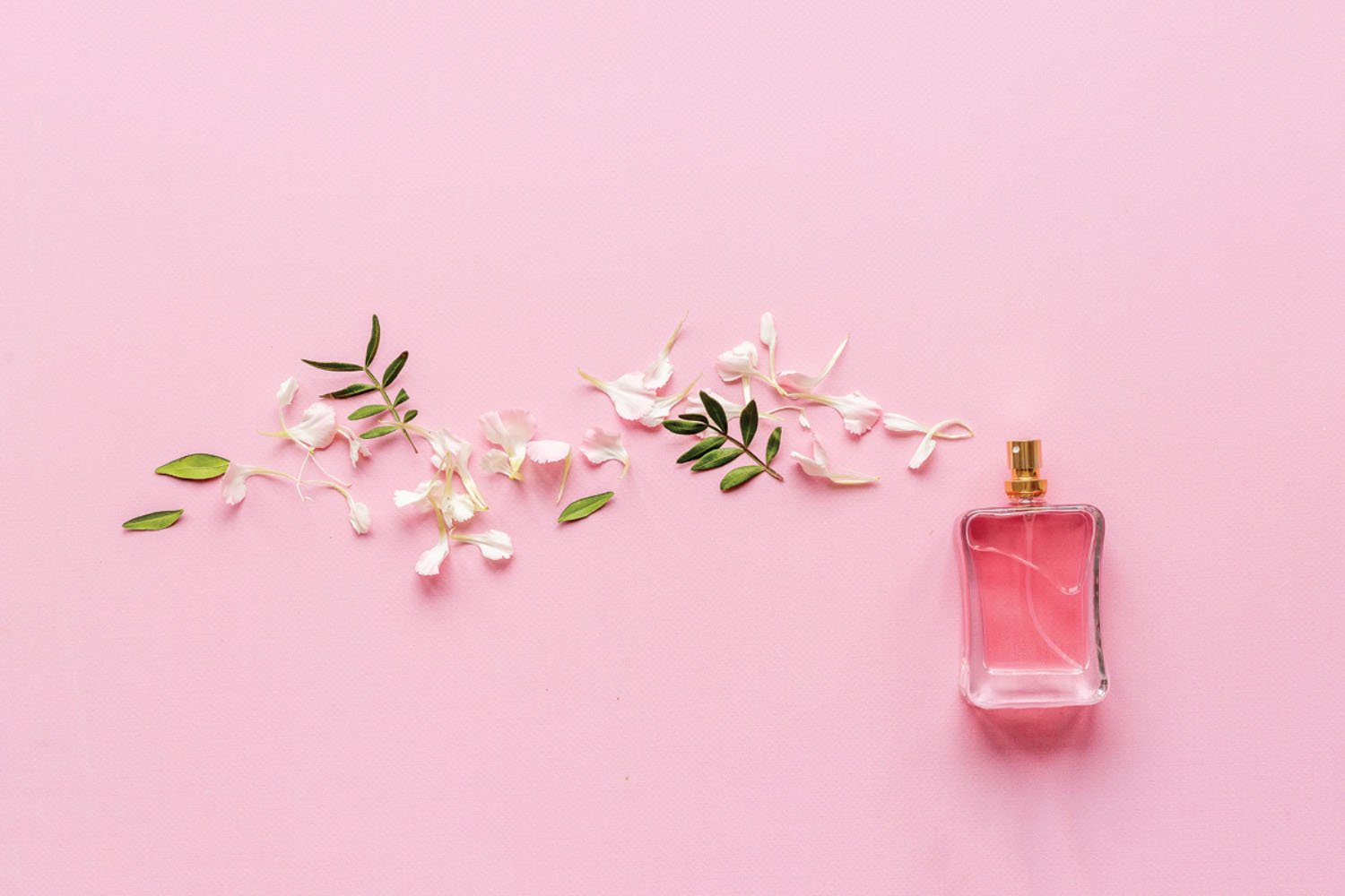 Behind the Bottle: A Deep Dive into Perfume Ingredients – Fragrance5ml